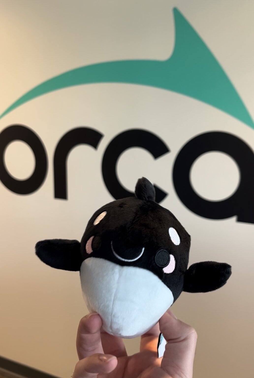 Tapping In: ORCA Monthly News for January 2024 - myORCA